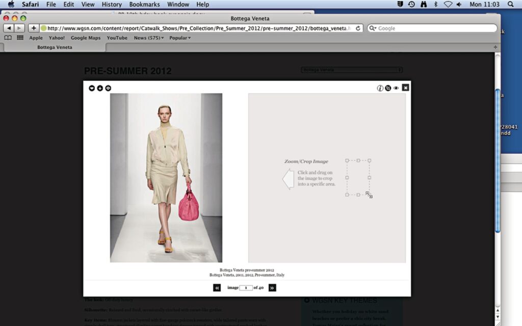 WGSN Boutique - User guide: Using WGSN images