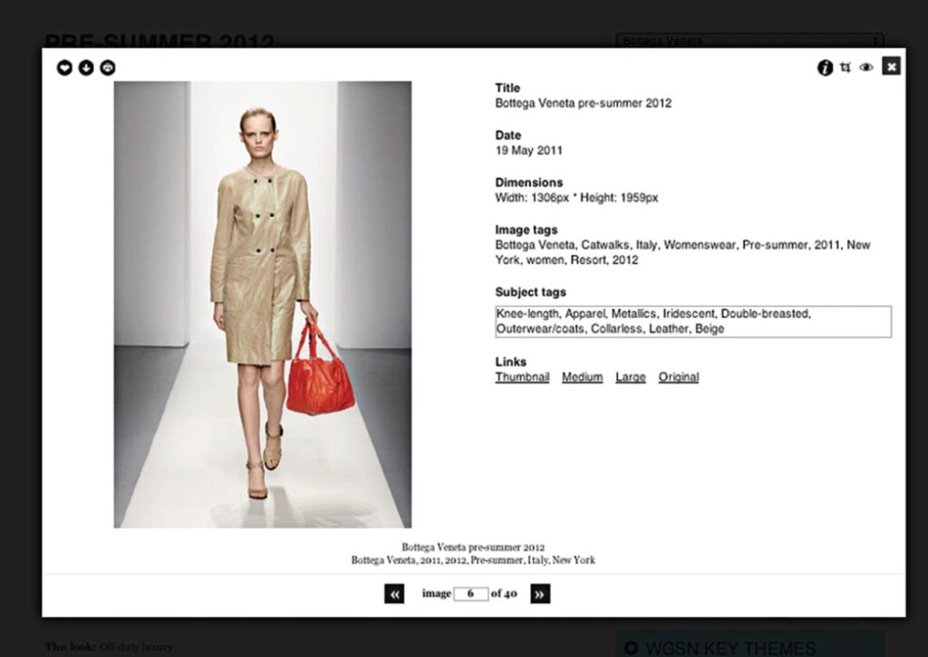 WGSN Boutique - User guide: Using WGSN images