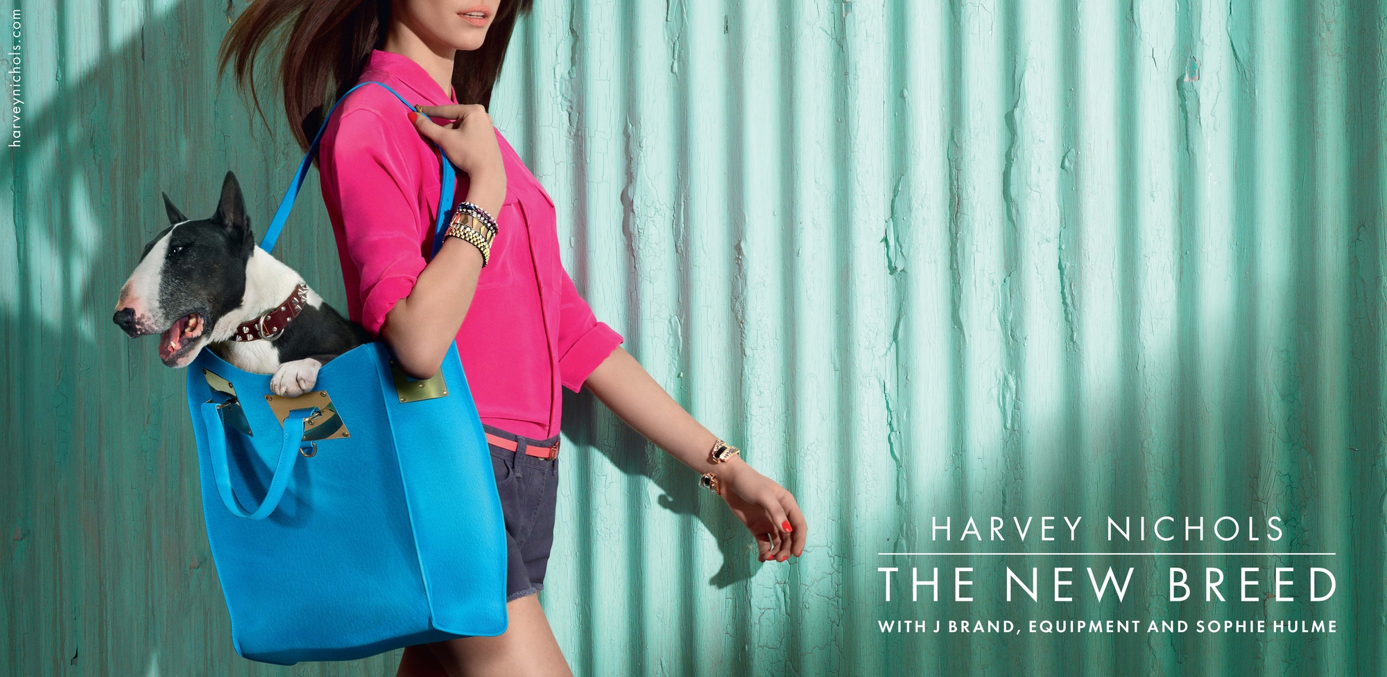 Luxury retailer Harvey Nichols unveils doggy bag themed spring campaign