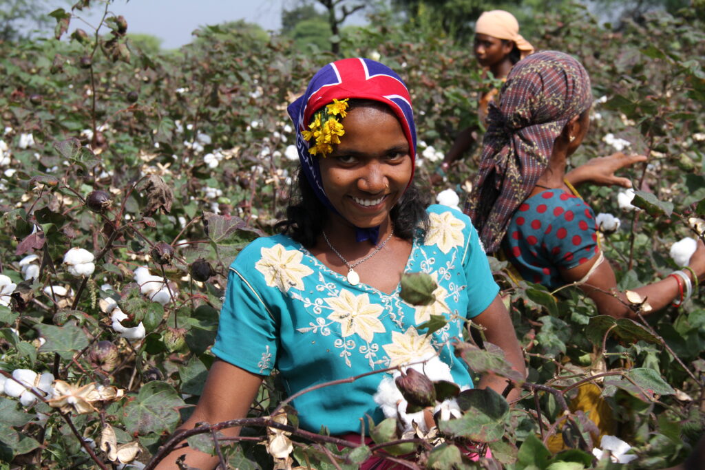 Fairtrade cotton five times less damaging than conventional