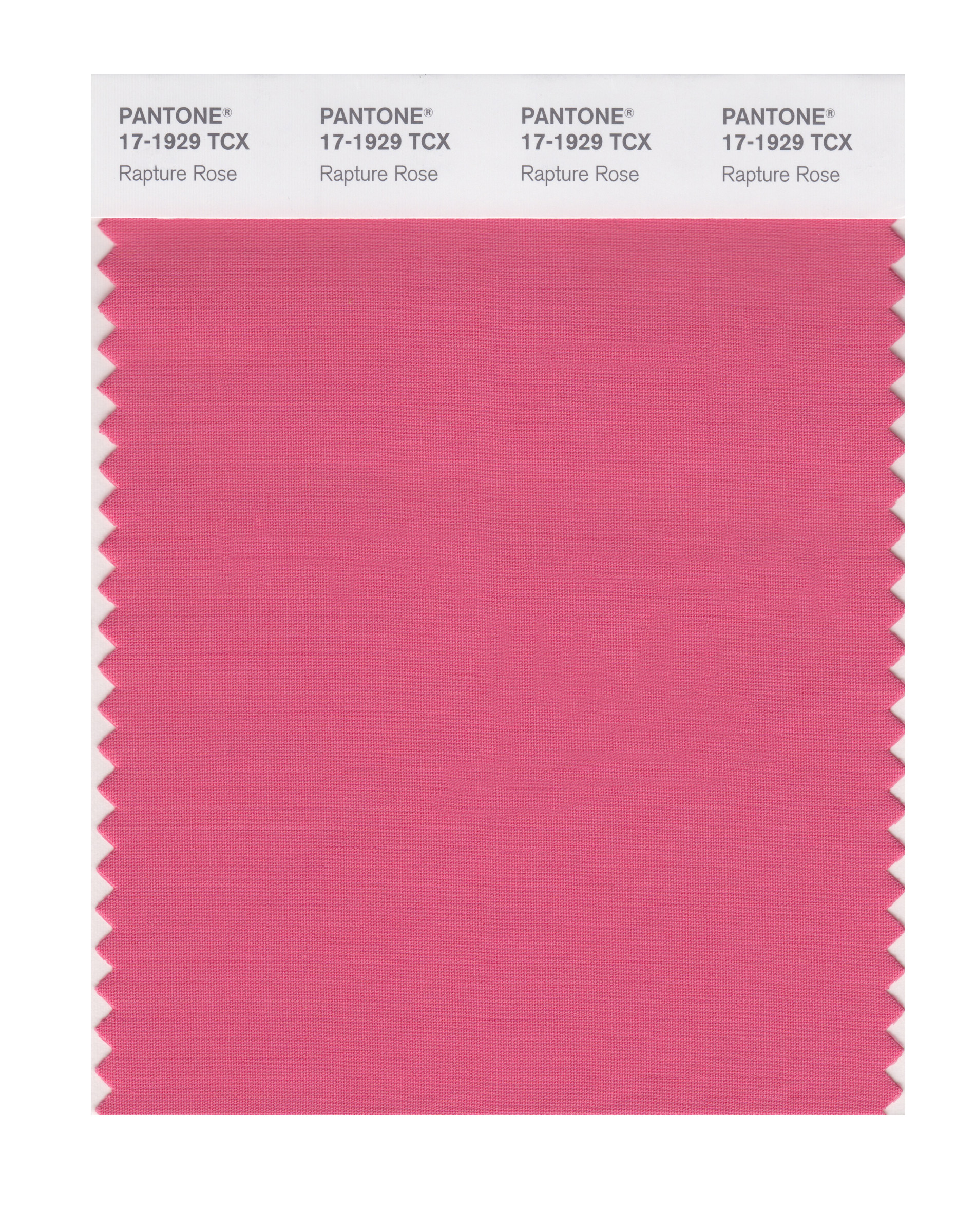 Pantone names 12 top colours ahead of LFW