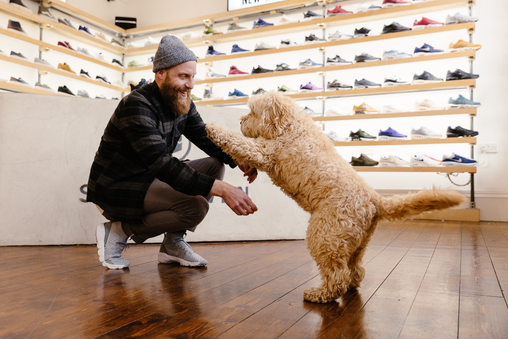 Soleheaven seeks board members as it readies US expansion