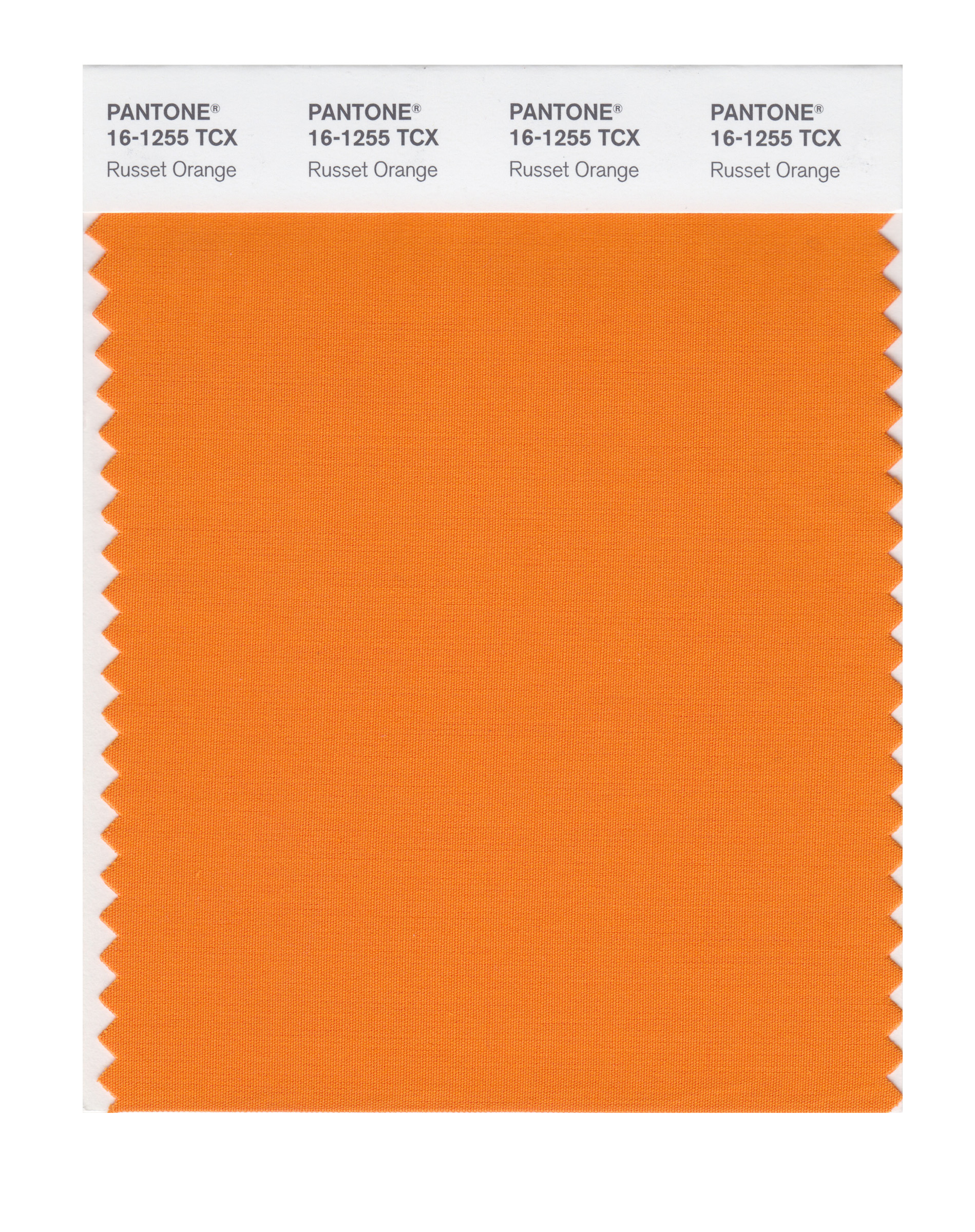 Exclusive: Pantone names autumn 18's top 12 colours