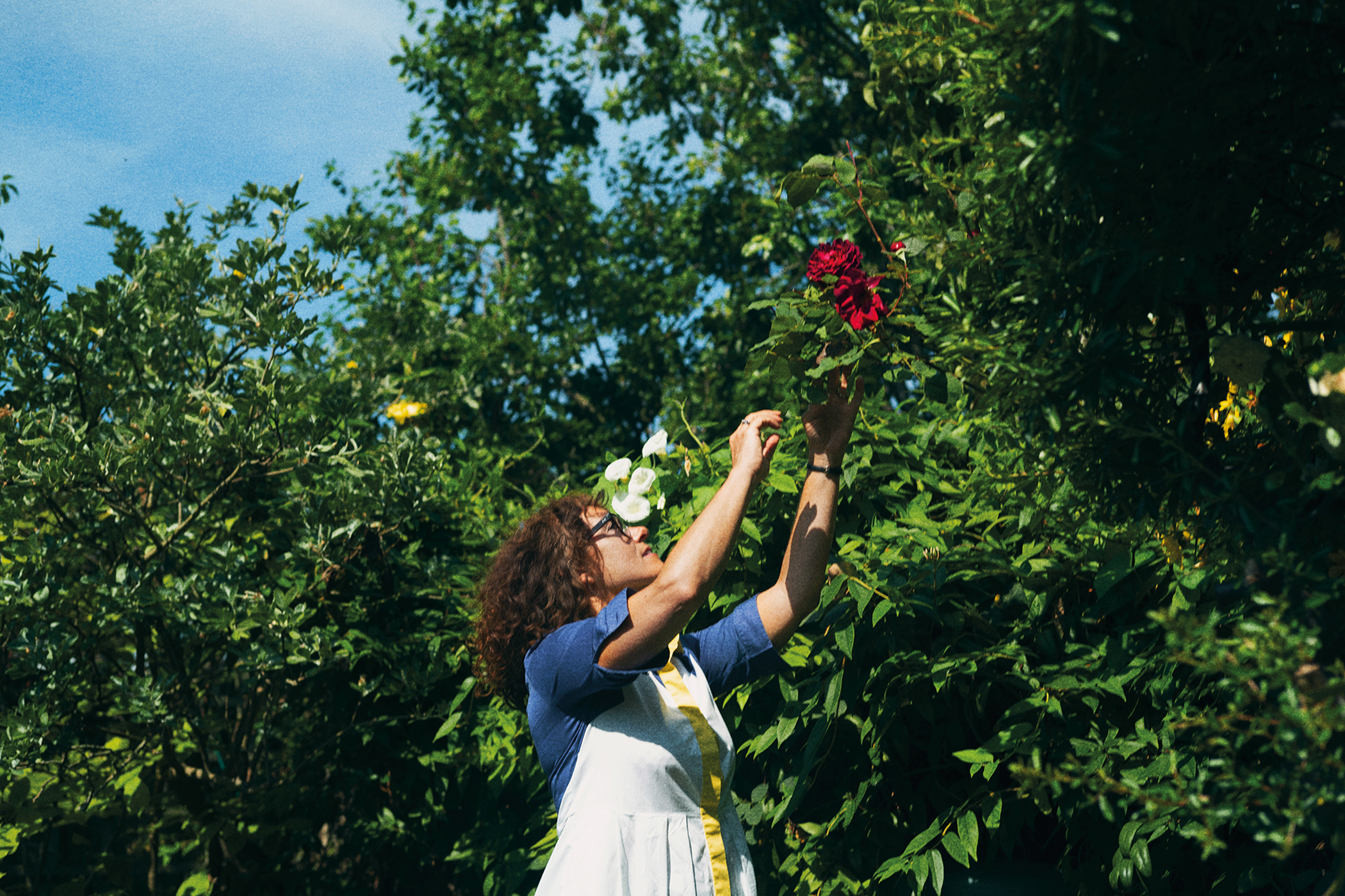 Dilys Williams: a rebel with a cause