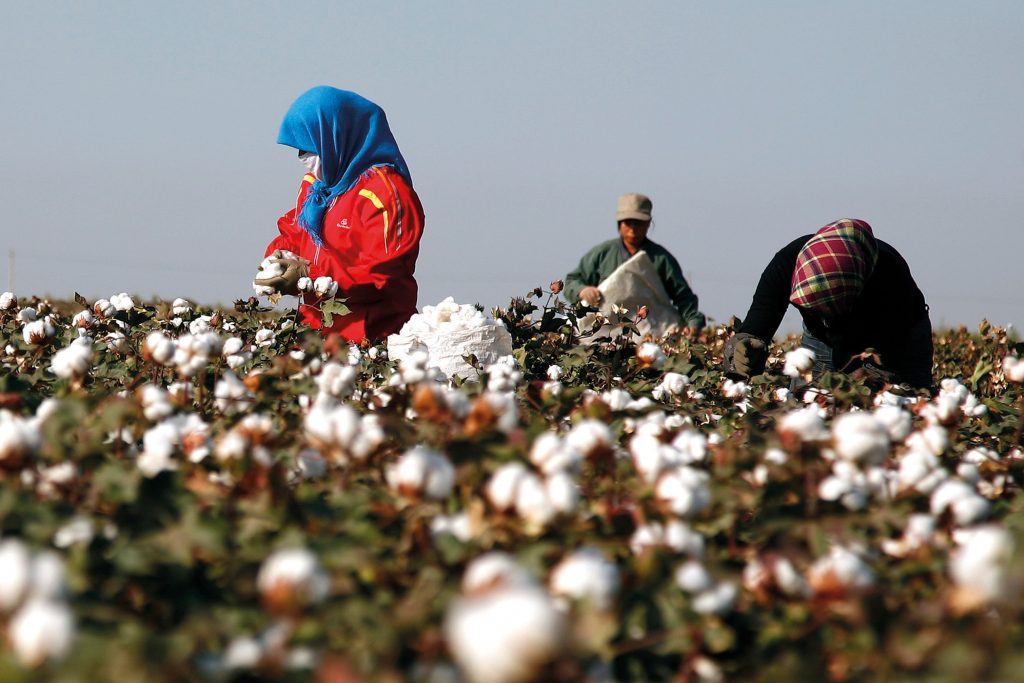 Government rejects slave labour recommendations