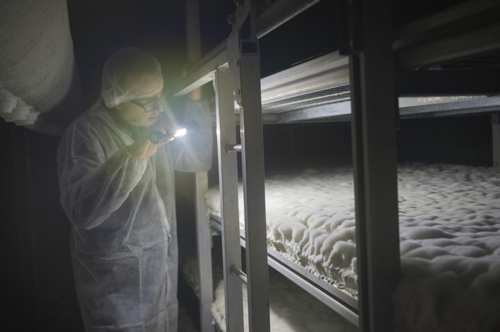 Textile innovations: fabrics for the future