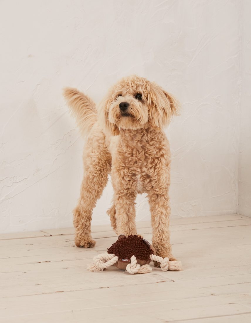 First look: Fat Face launches pets range