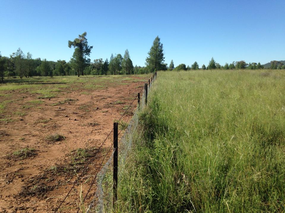 Step inside Timberland's award-winning regenerative projects