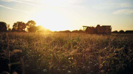 John Lewis: 'Large-scale problems need large-scale solutions'