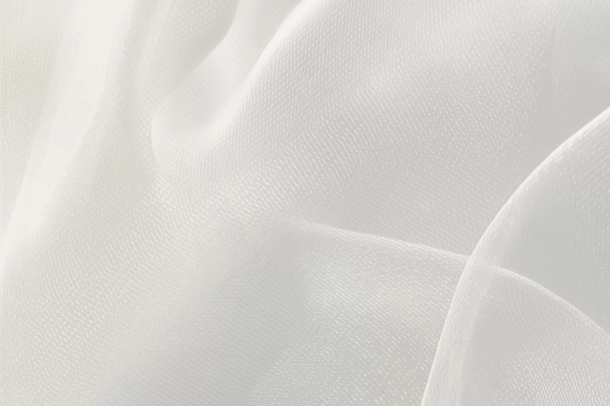 Pantone reveals 'Cloud Dancer' as 2026 colour of the year