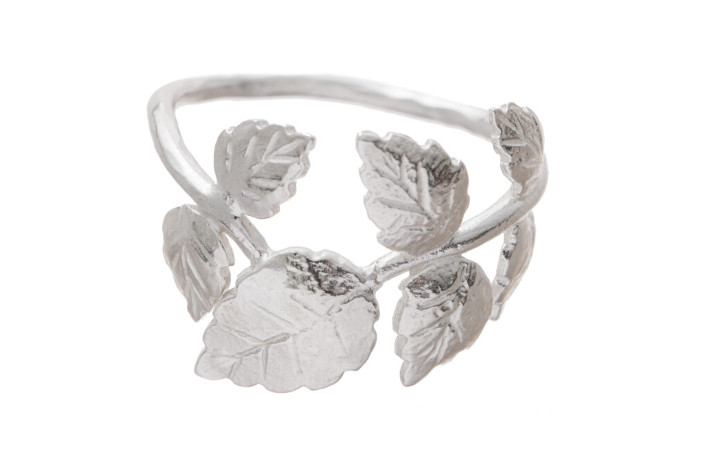 IN PICS: Alexis Dove launches English Rose collection to mark 10th ...