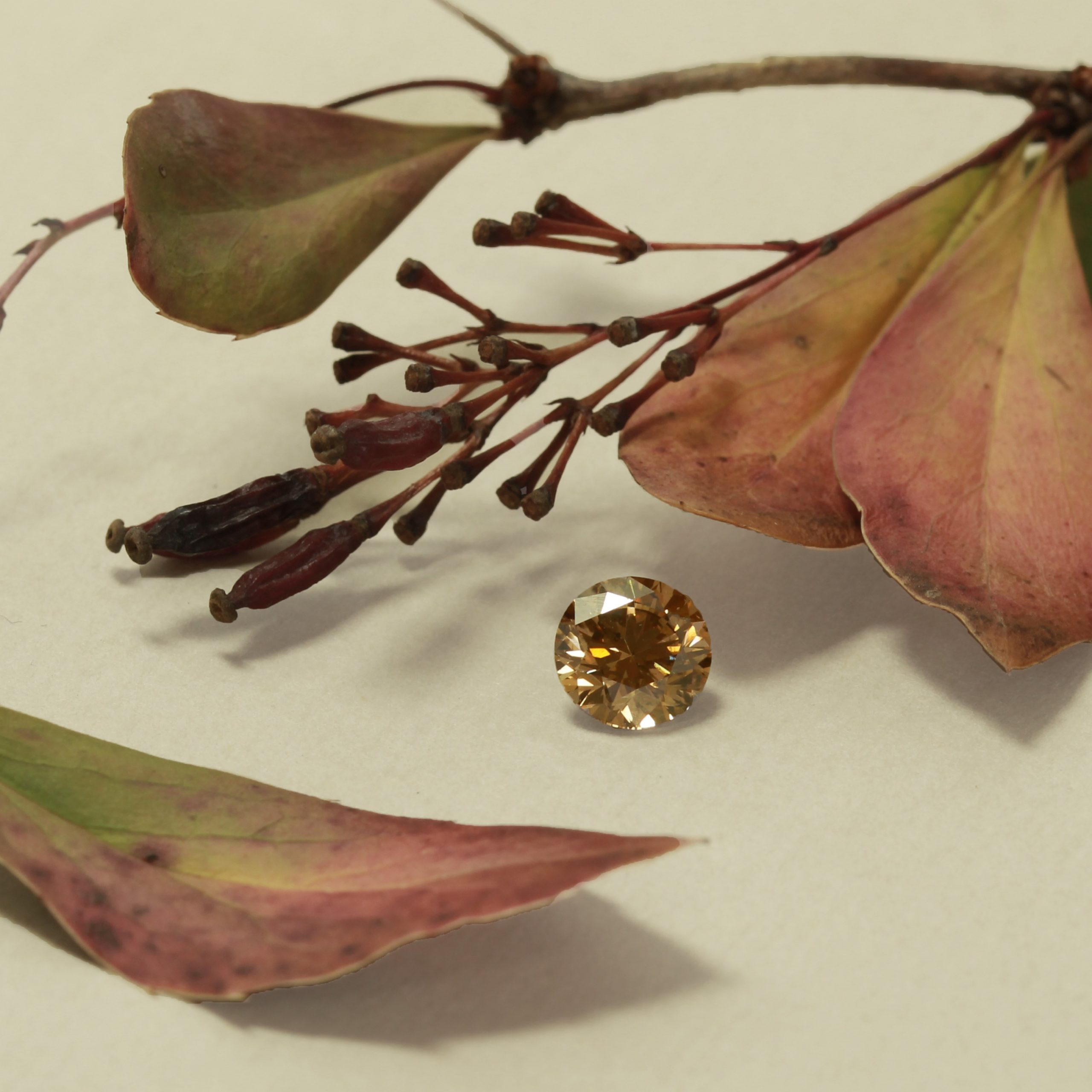 Bring Diamonds invites jewellers and jewellery designers to visit its ...