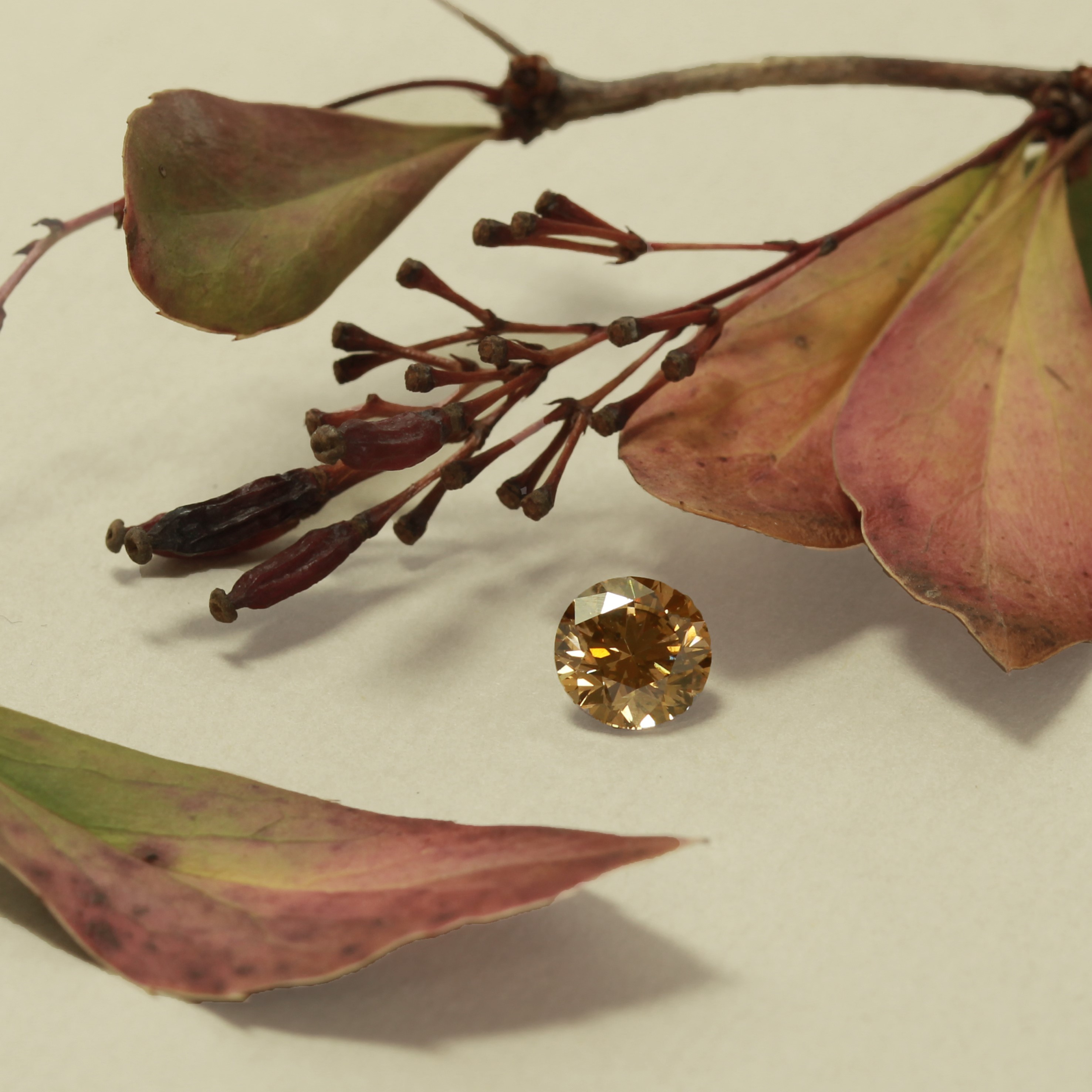 Bring Diamonds invites jewellers and jewellery designers to visit its ...