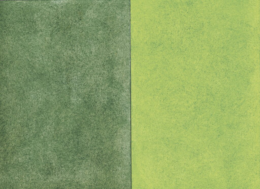 David Ward - Critic's choice