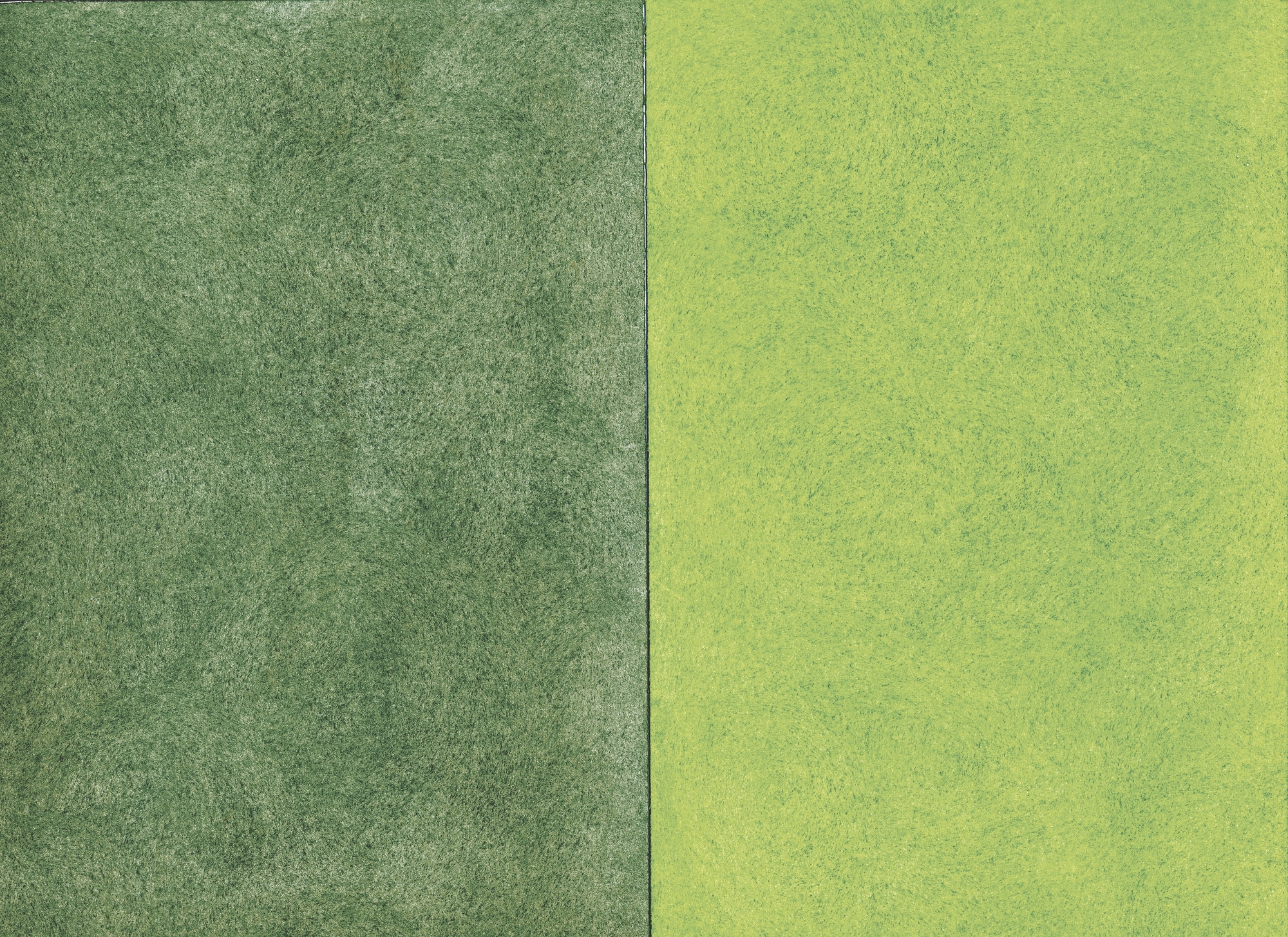 David Ward - Critic's choice