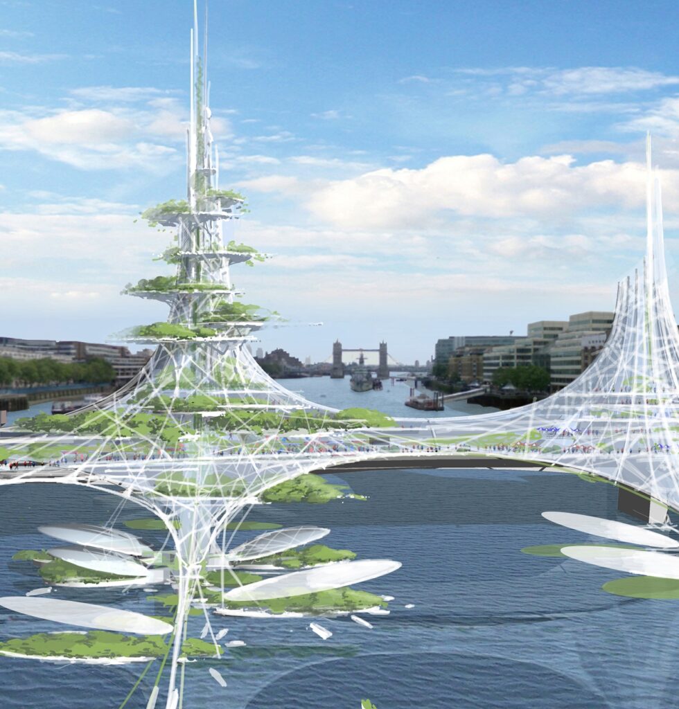 In Pictures: London Bridge 800 competition winners