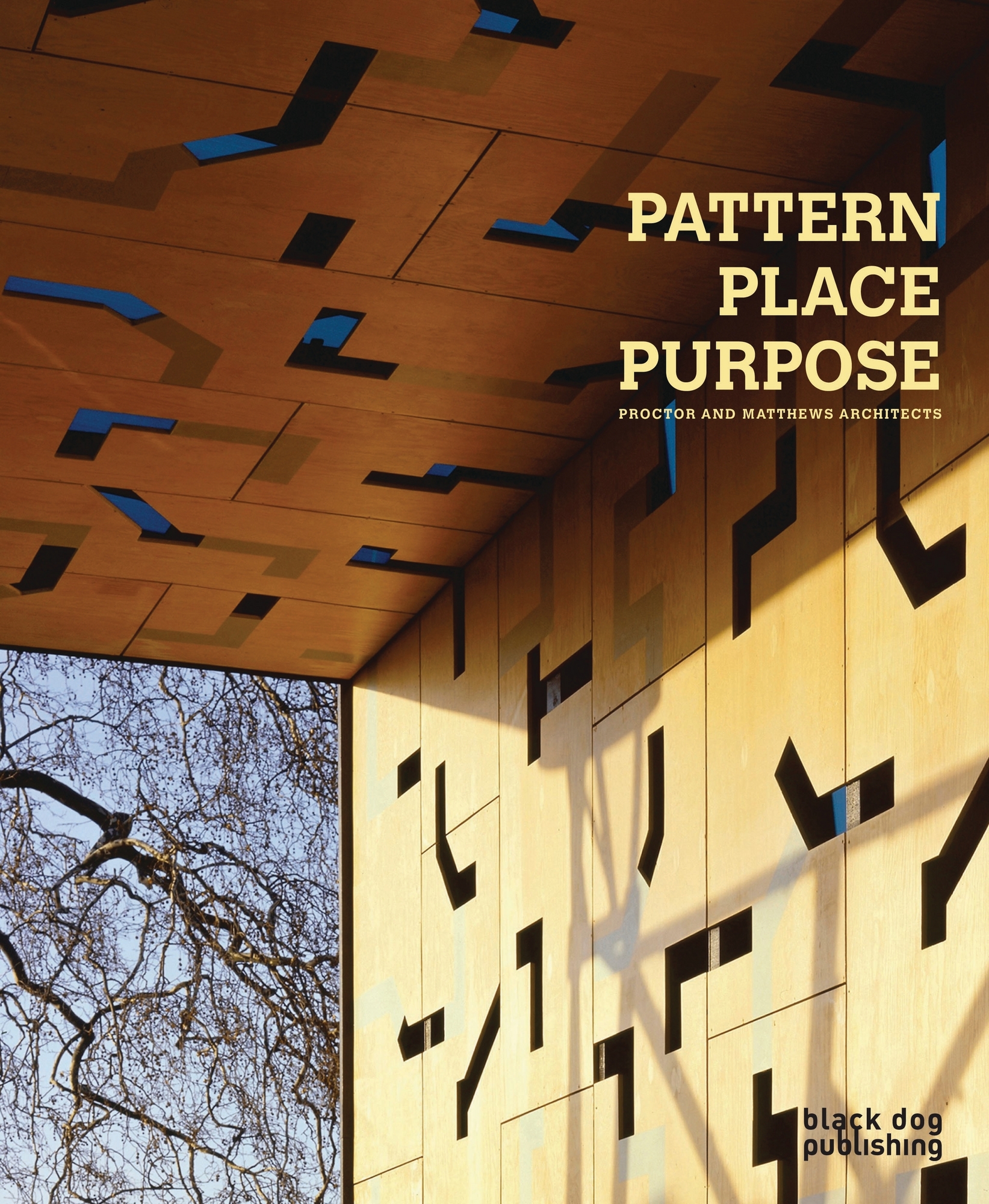 BOOK: Pattern Place Purpose: Proctor and Matthews Architects