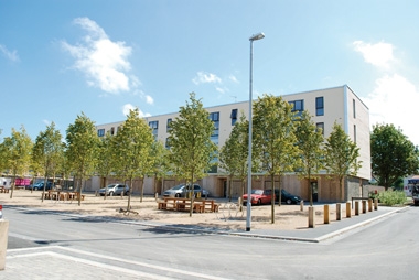 New records set at BFL awards