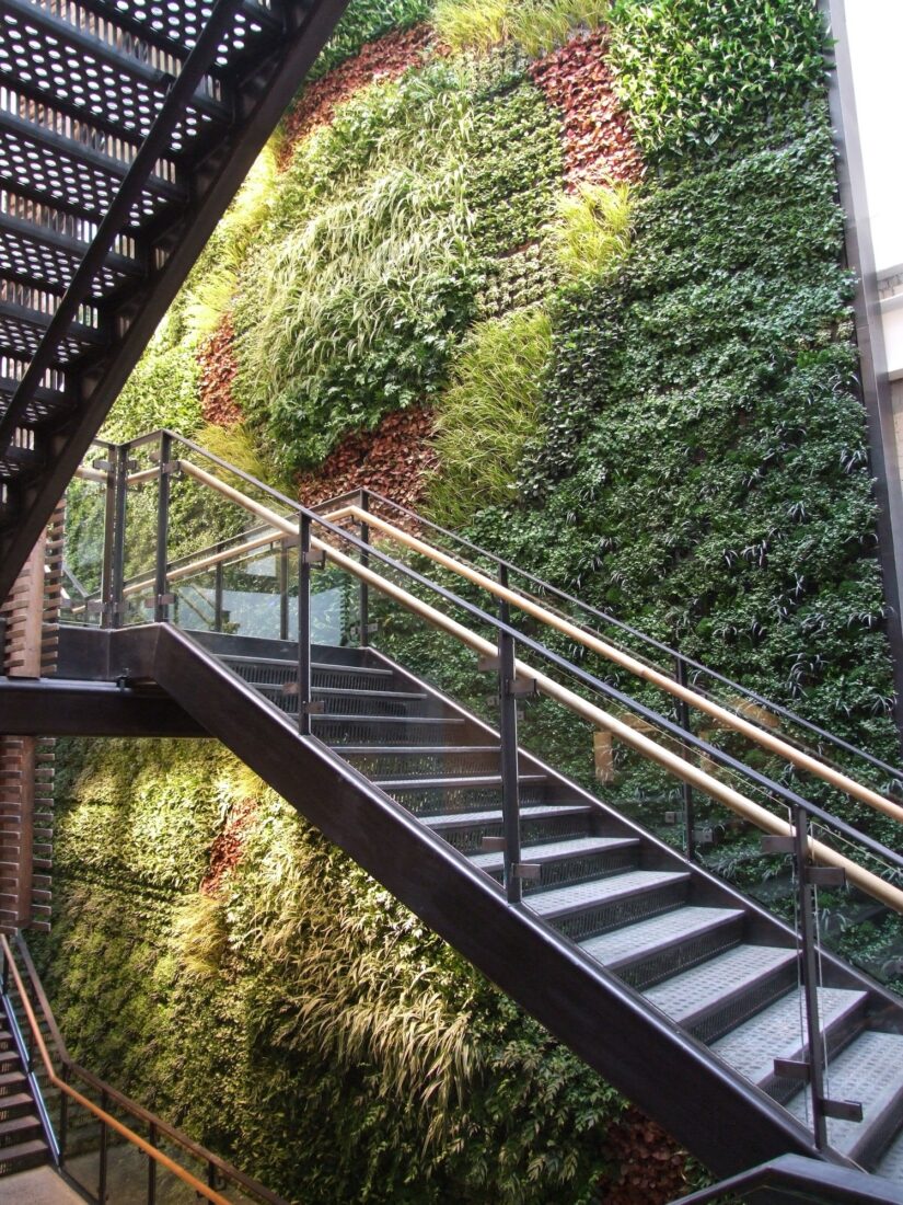 Ecobuild: the essential guide