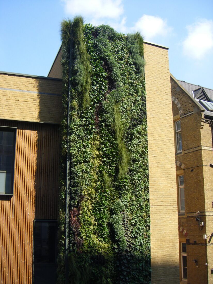 Ecobuild: the essential guide