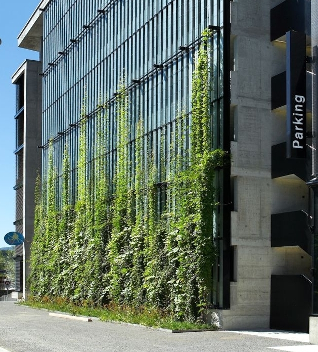 Ecobuild: the essential guide