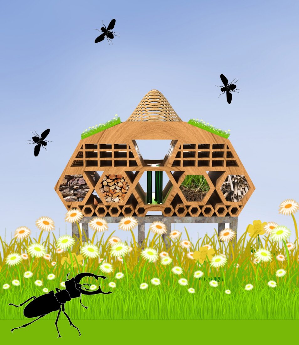 First look: Insect hotel teams buzzing