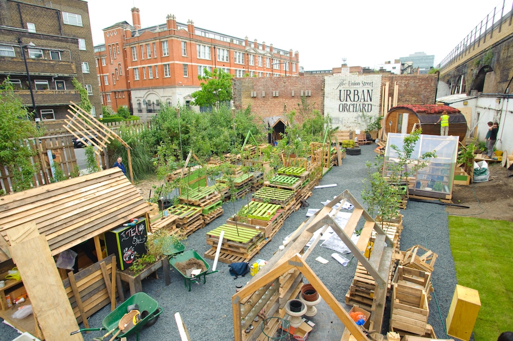 The Union Street Urban Orchard