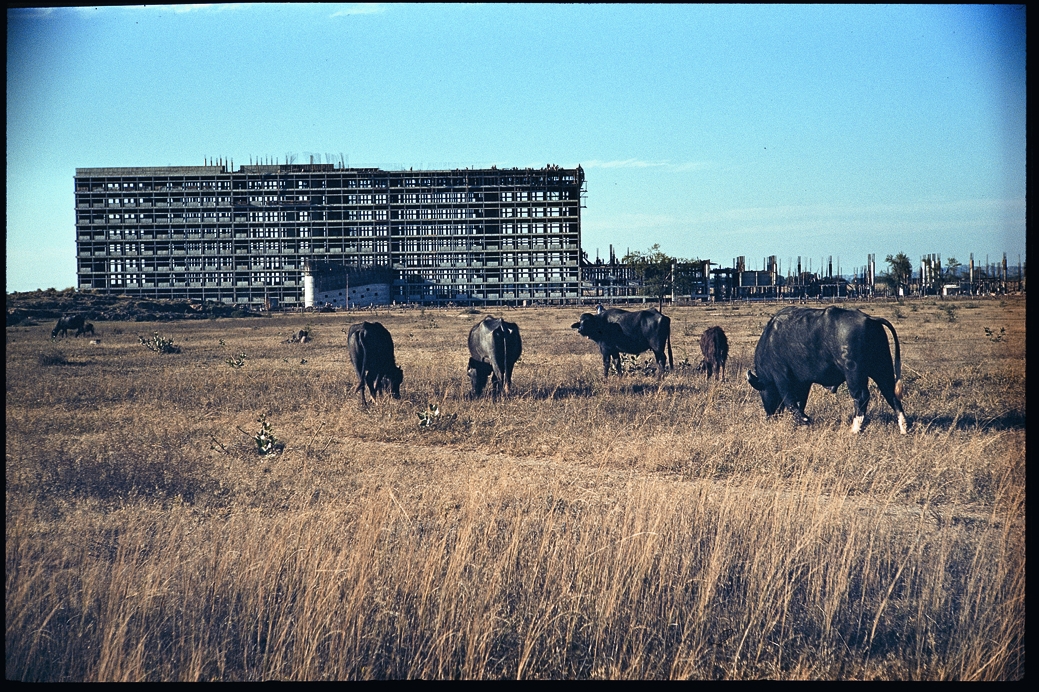 Chandigarh: Ernst Scheidegger's previously unseen photographs