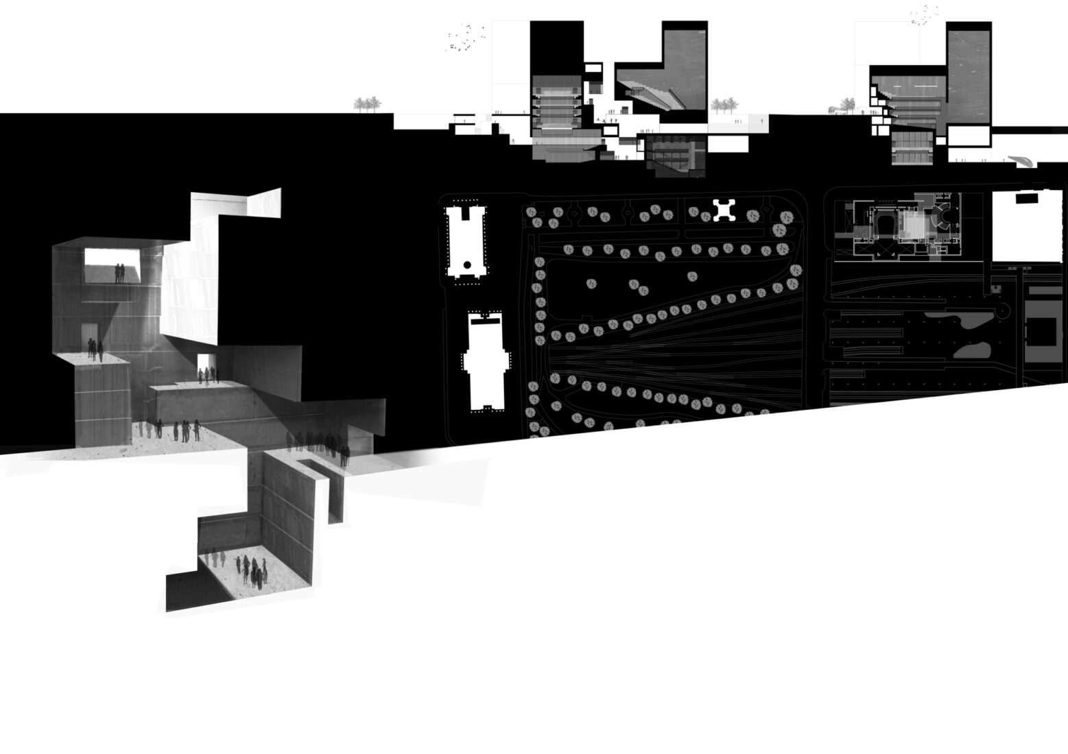 Winner of 3DReid student prize revealed