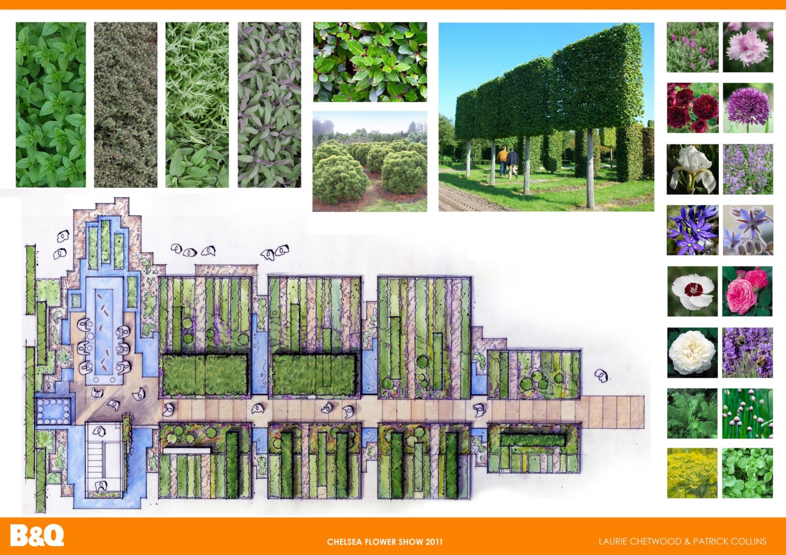 Chetwoods’ Vertical Allotment descends on flower show