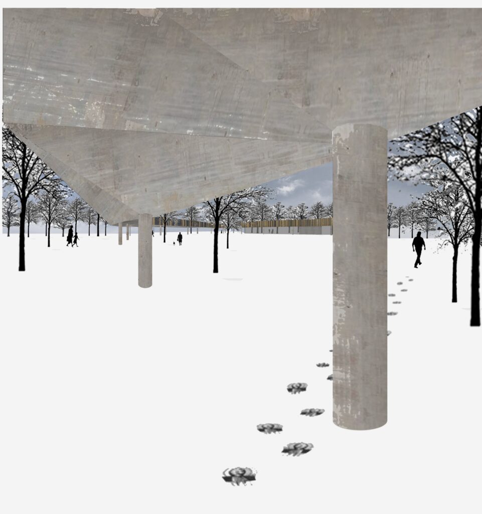 Cork Centre for Architectural Education, Ireland