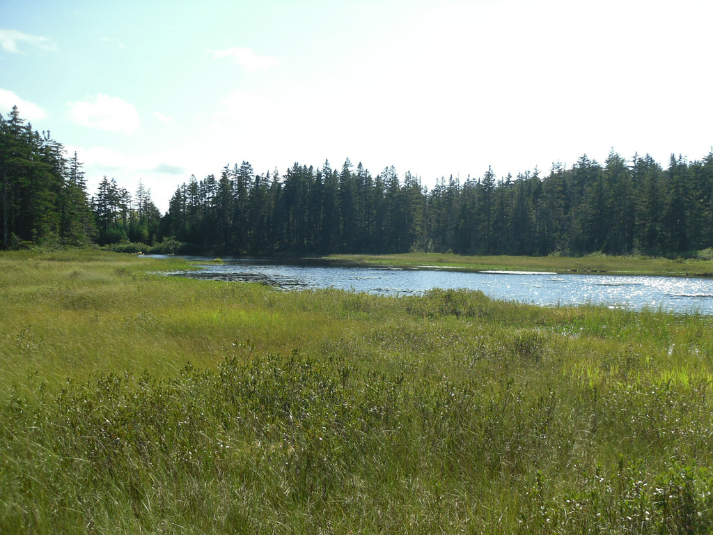 US summer camp seeks concept designs for parkland structures