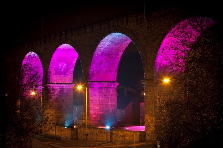 Durham Lumiere: In Pictures