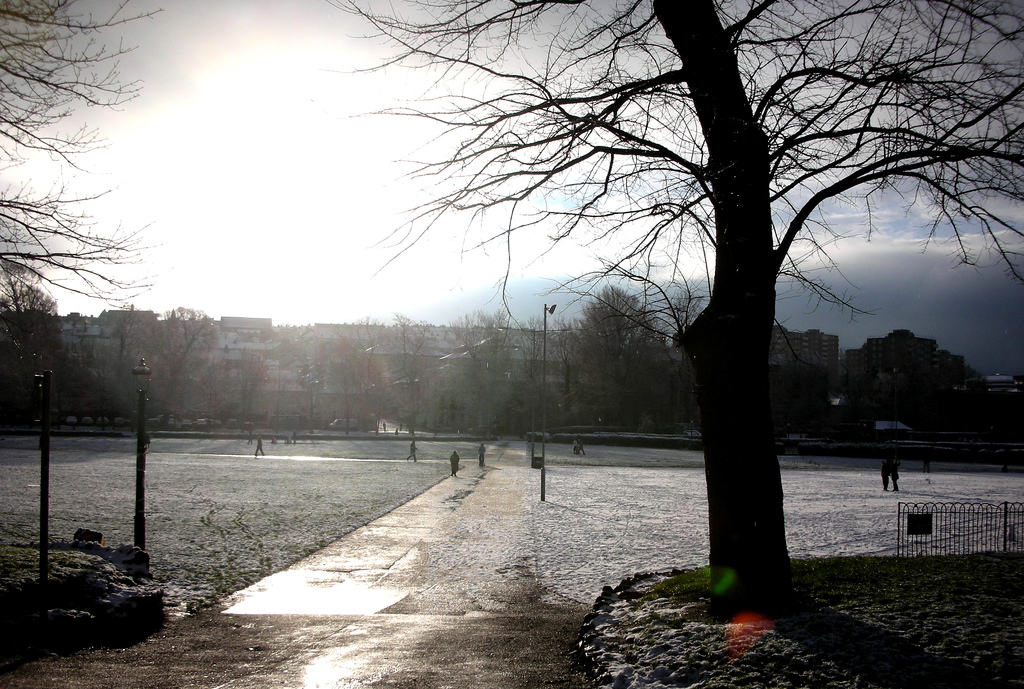 Level Park seeks landscape architects, Brighton