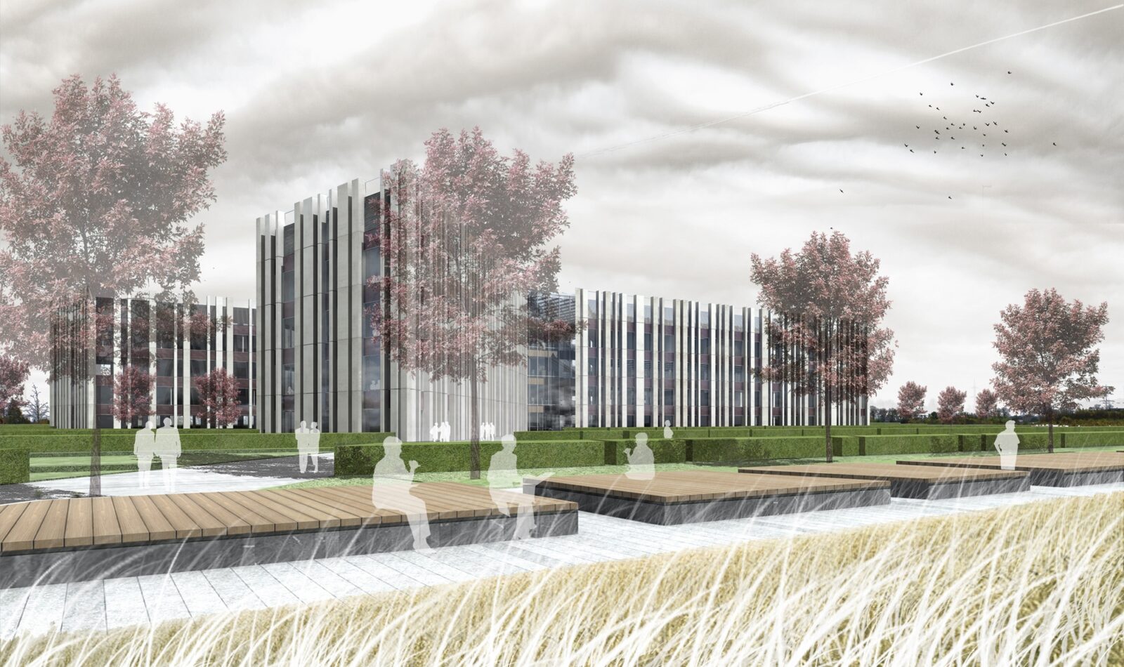 Gordon Murray Architects merges with Ryder Architecture