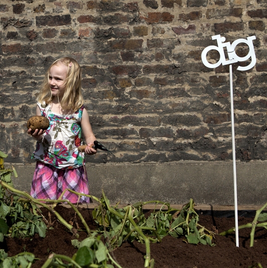 Women in Practice: Emerging architects