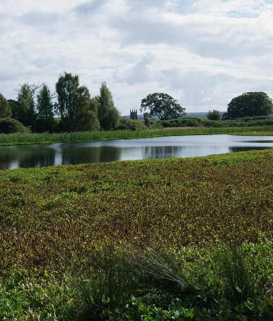 A+DS launches Larbert Loch viewing platform contest