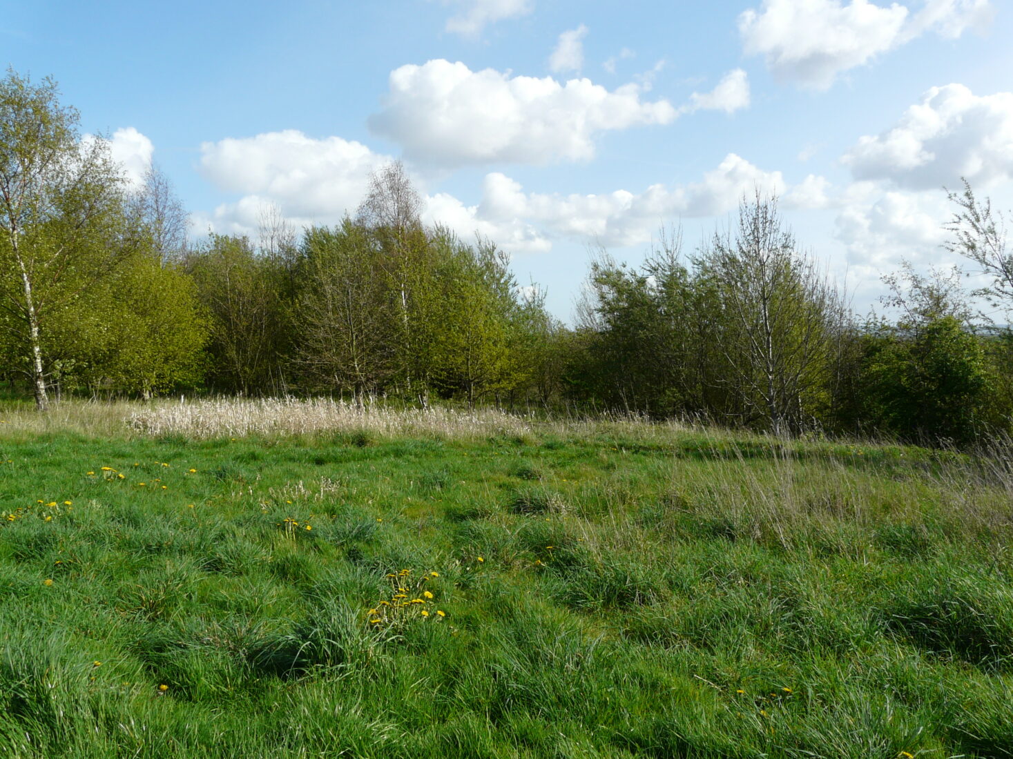 Exclusive: Newcomer scoops Cronton Colliery contest