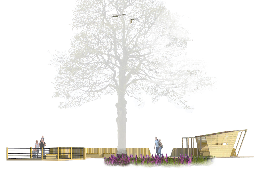 Lochside viewing platform shortlist revealed