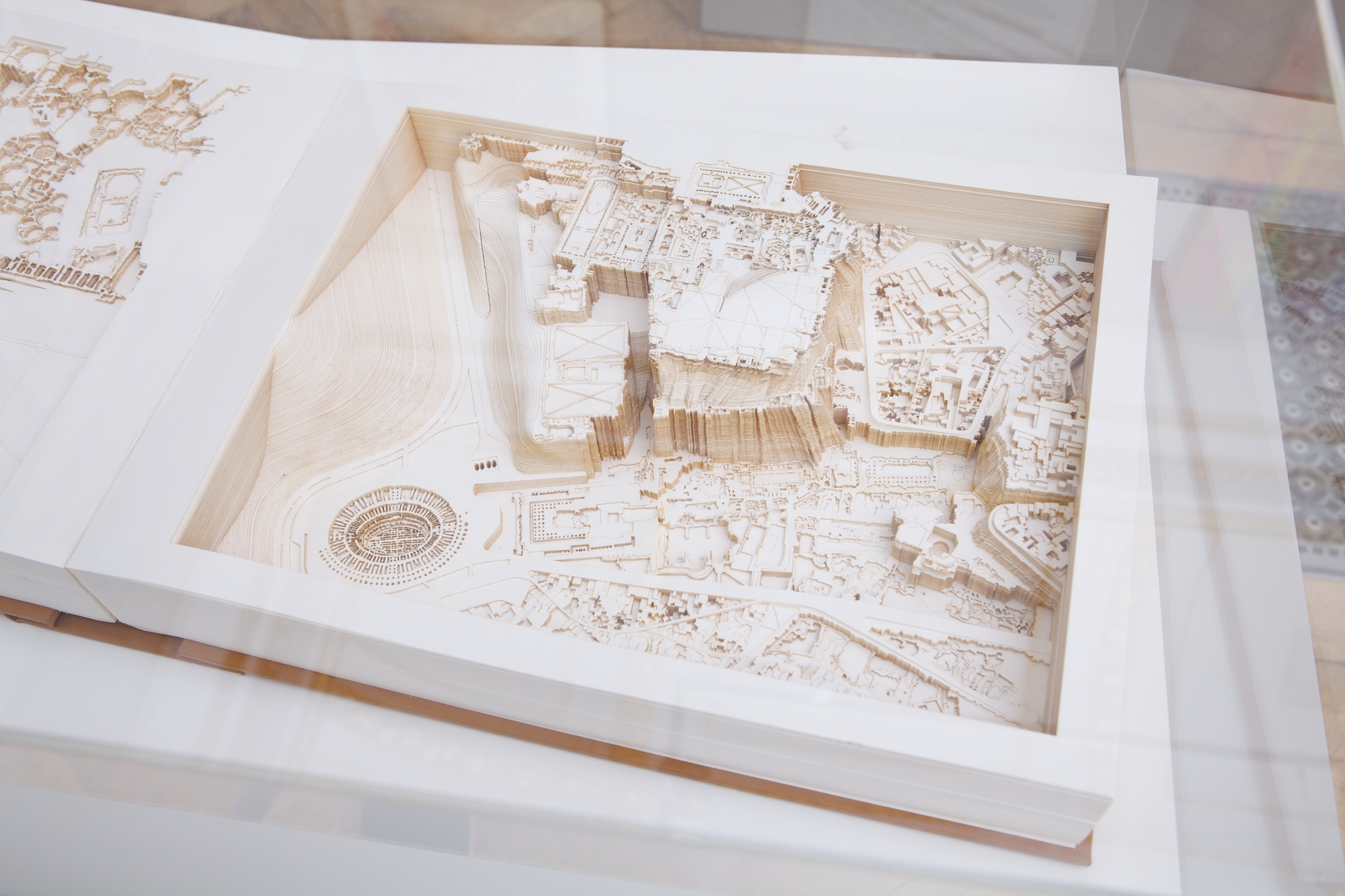 RA judges fall for ‘model in a book’