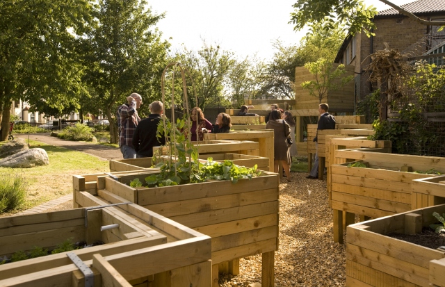 Grenville Gardens allotment project exemplifies community urban growing