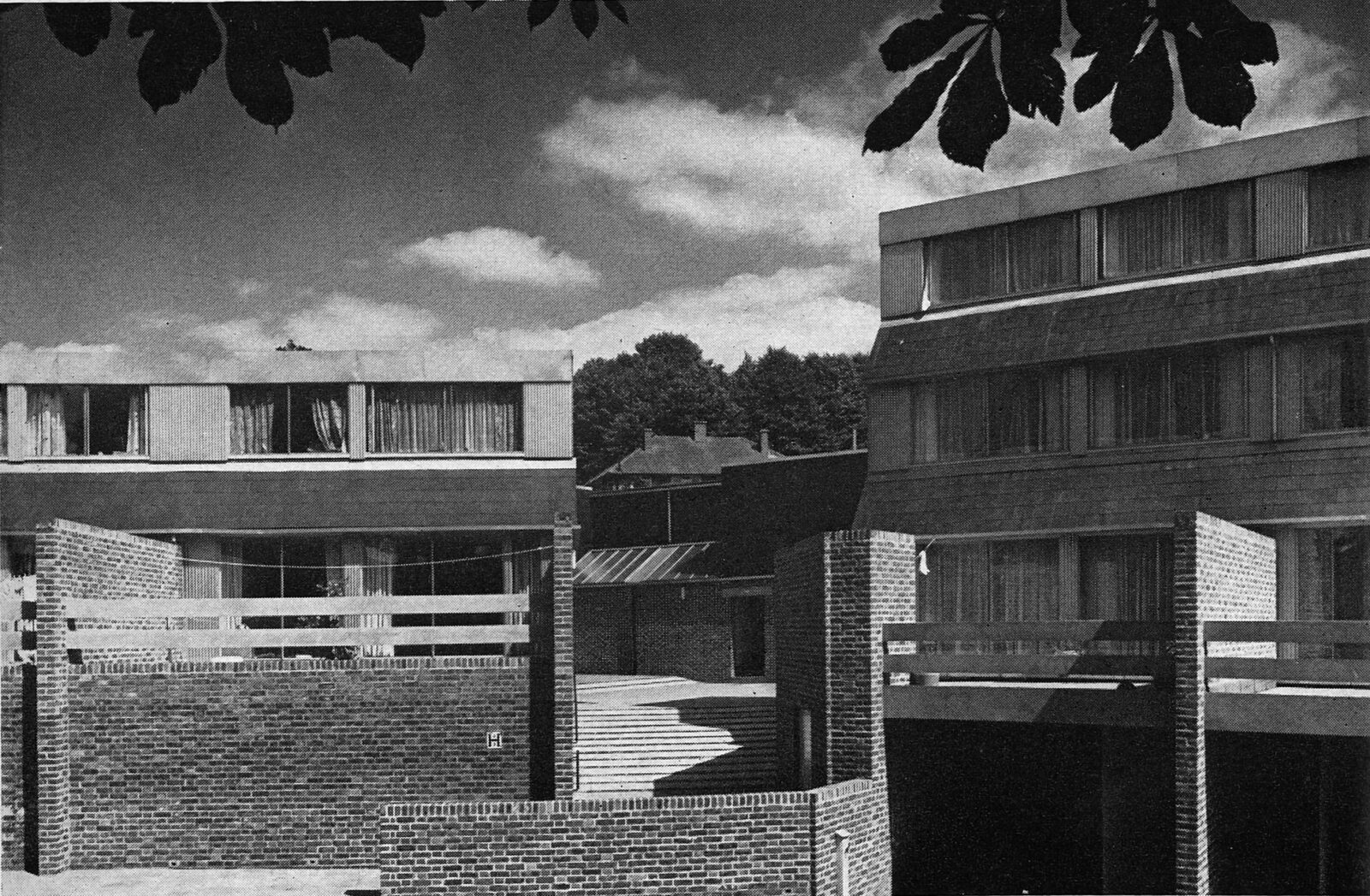 Michael Neylan dies aged 81