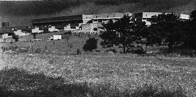 Michael Neylan dies aged 81