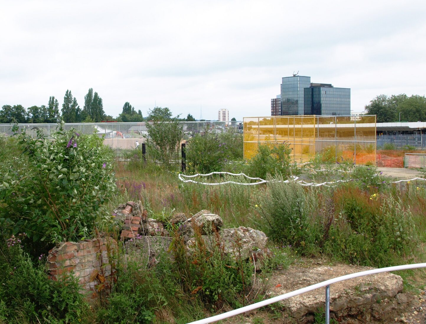 In pictures: Muf unwraps Croydon cricket interim use