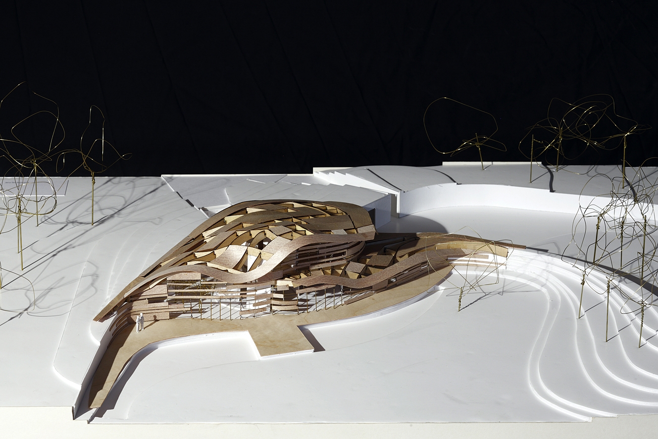 Jerry Tate scoops planning for gridshell country house