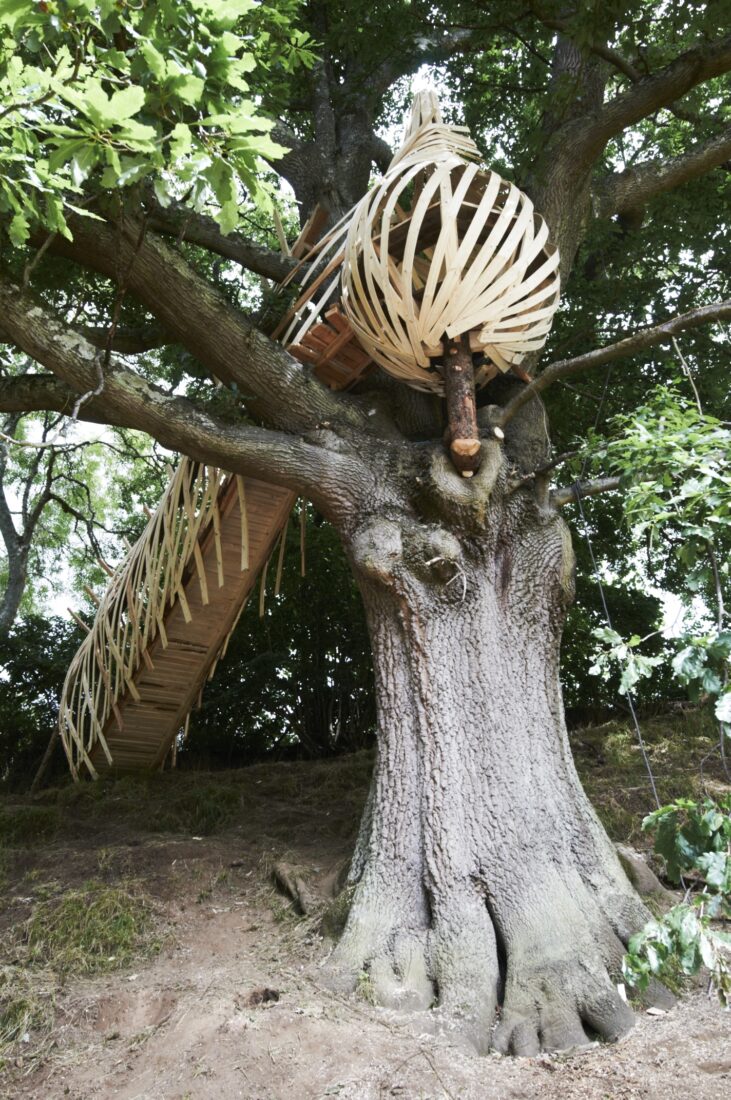 Jerry Tate completes Dartmoor treehouse