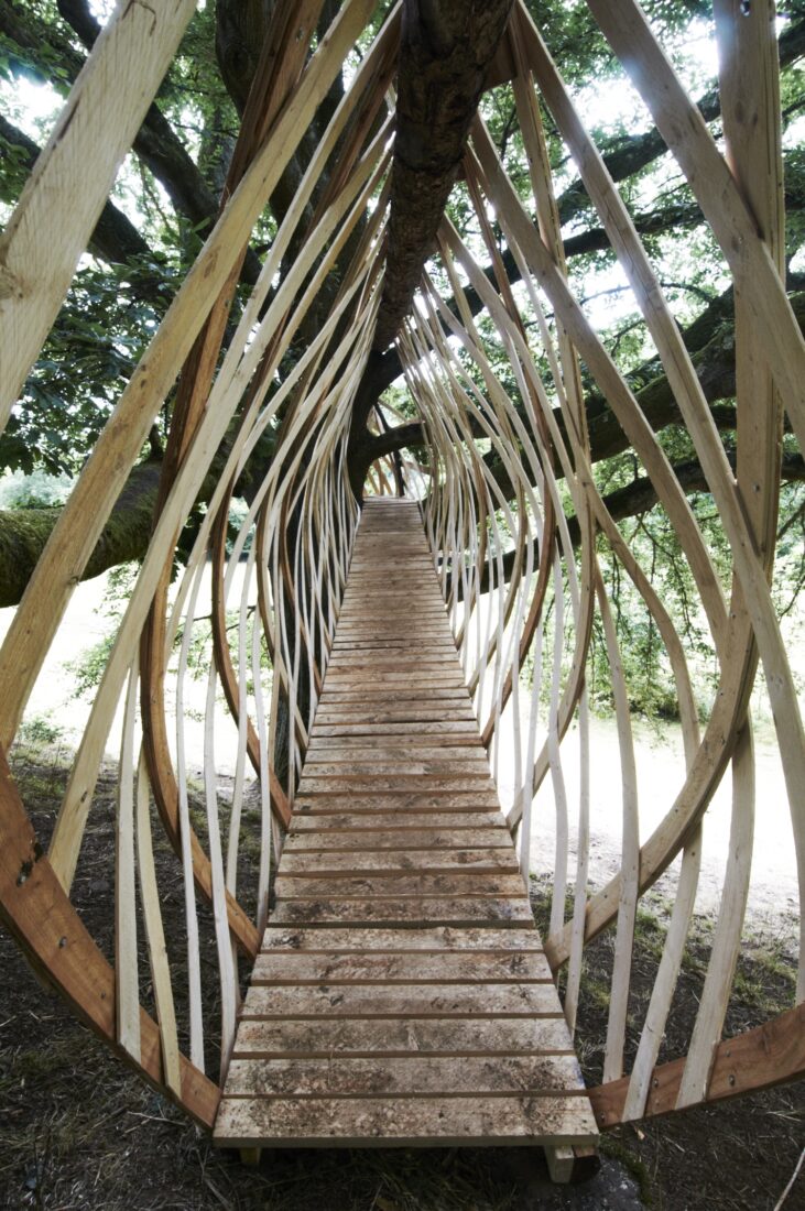 Jerry Tate completes Dartmoor treehouse
