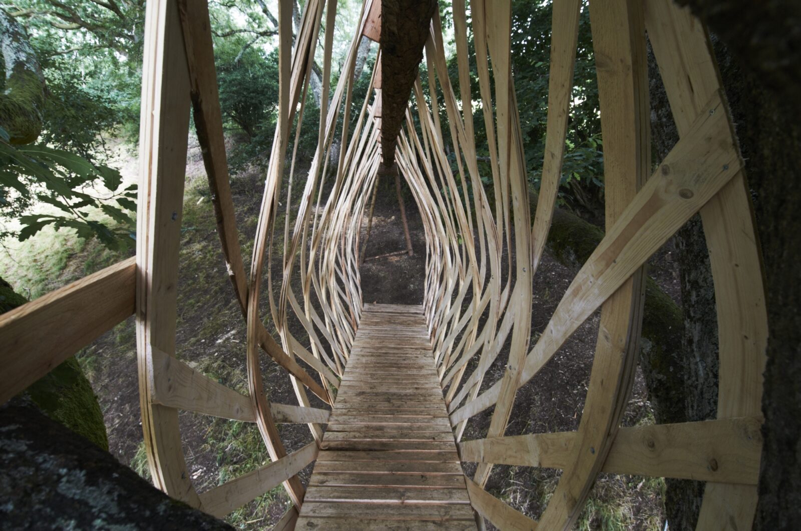 Jerry Tate completes Dartmoor treehouse