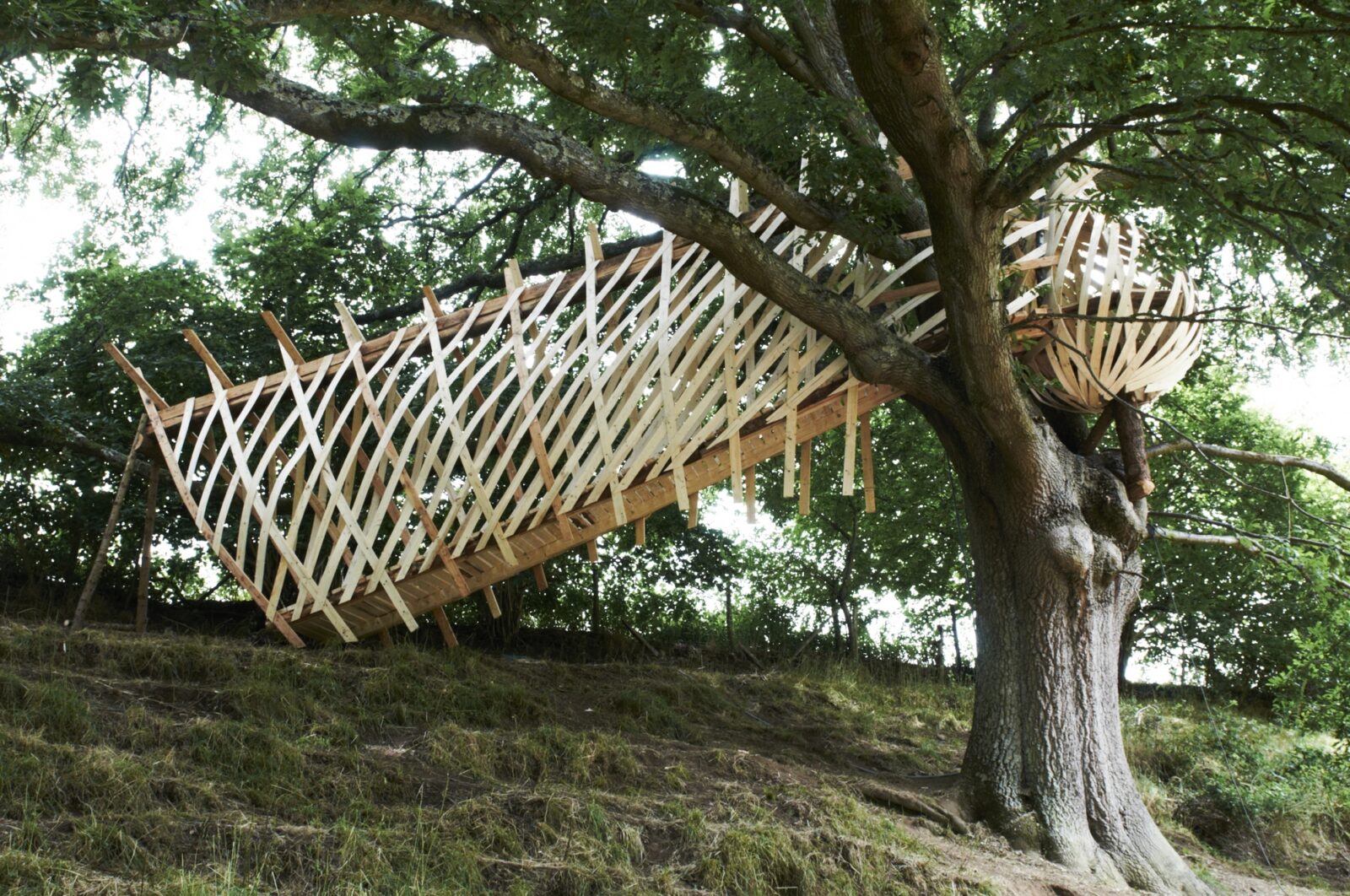 Jerry Tate completes Dartmoor treehouse