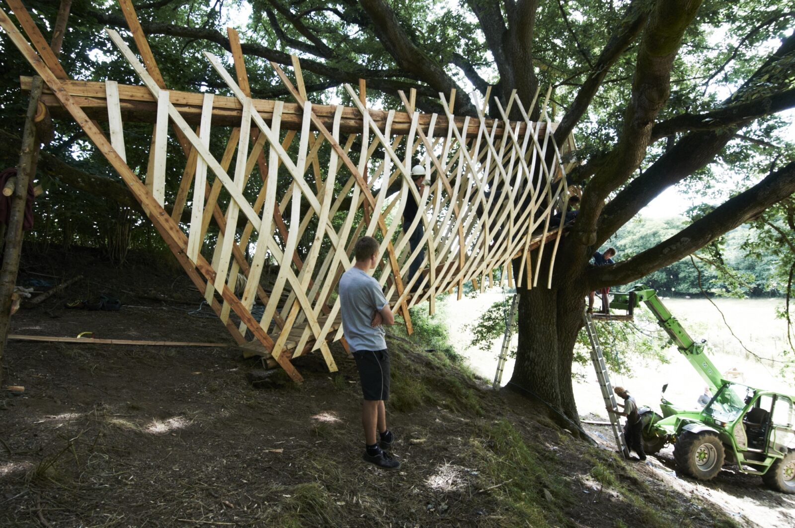 Jerry Tate completes Dartmoor treehouse
